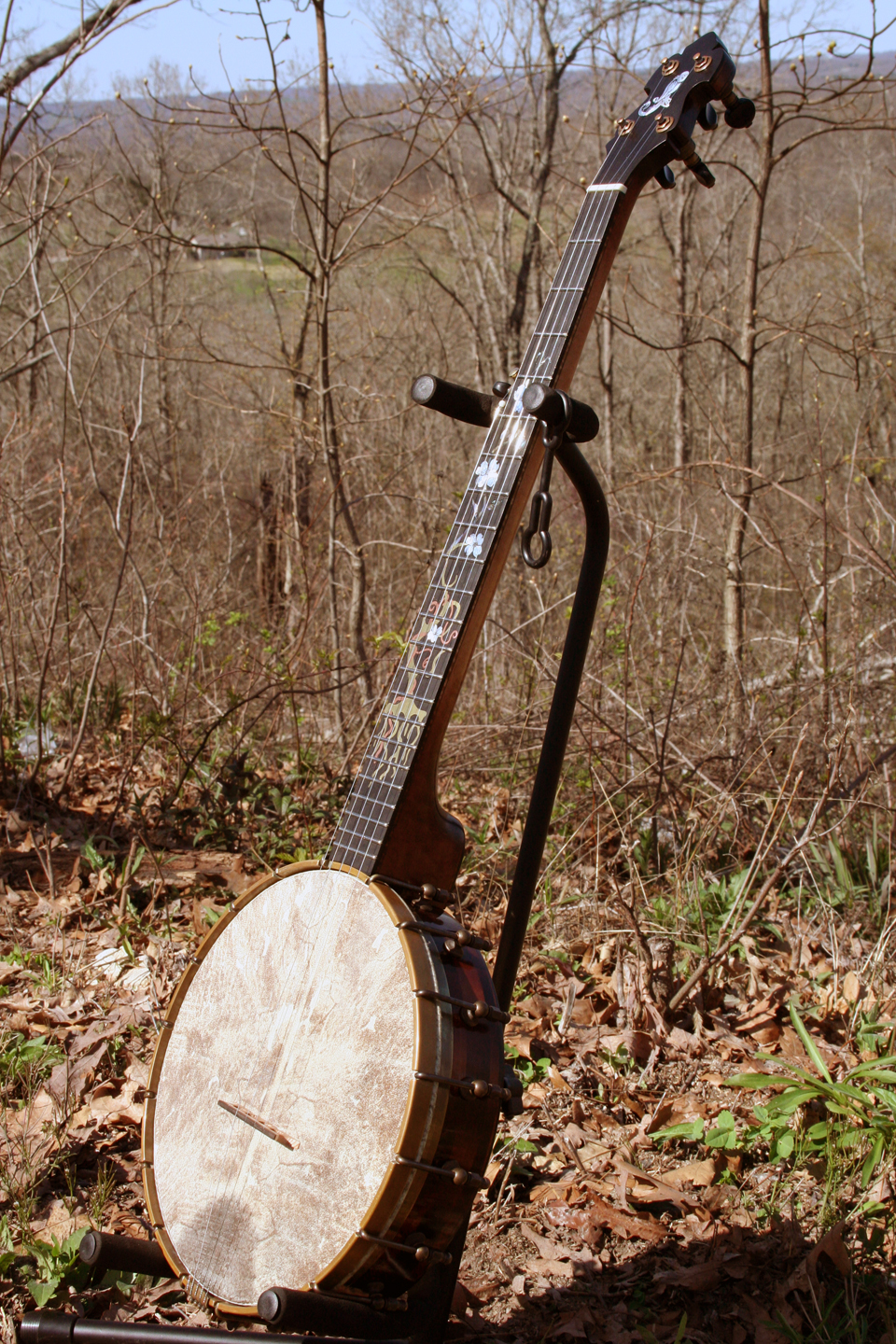 Banjo Gallery – Snowbird Banjo Company