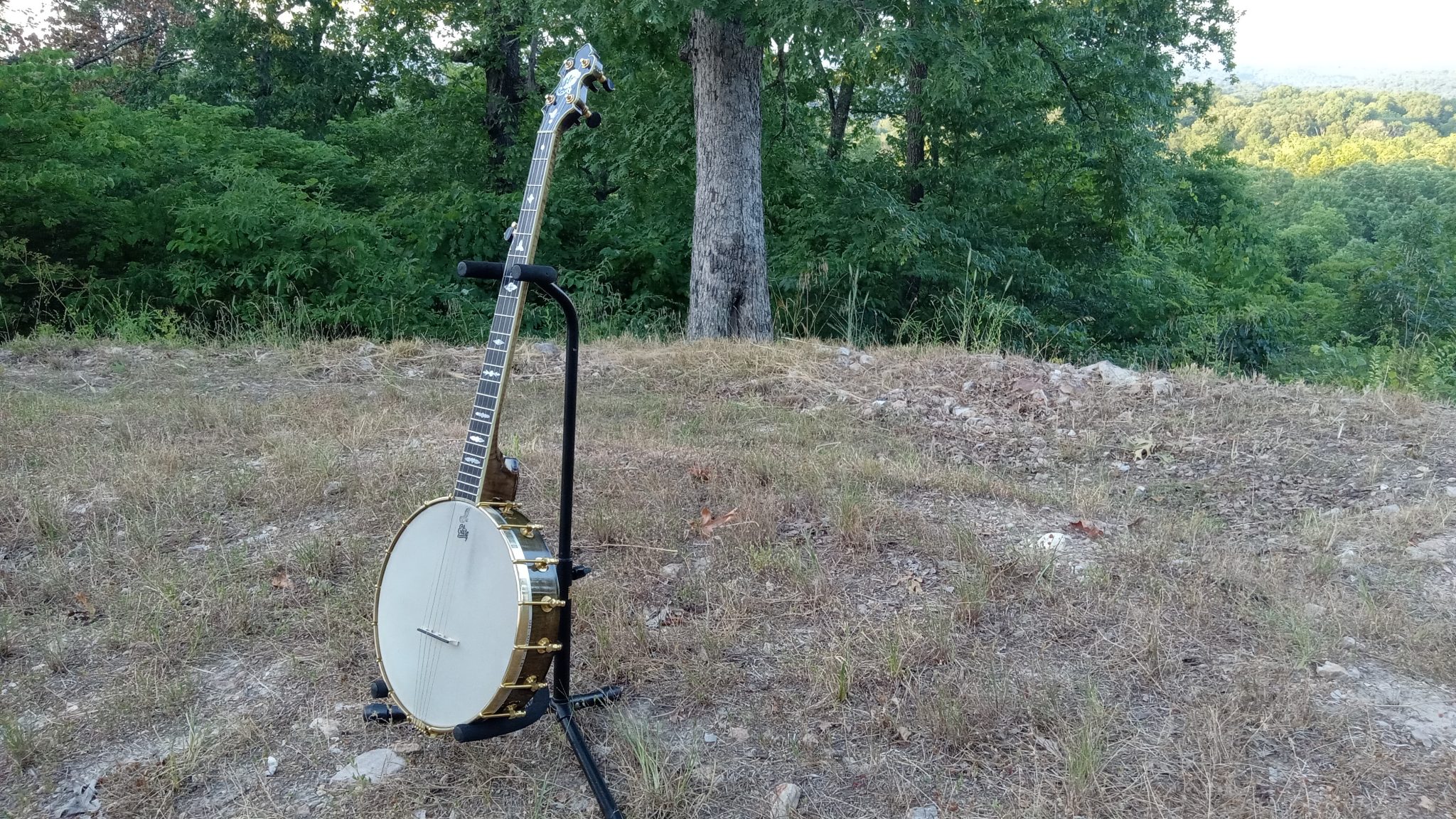 Custom Snowbird with Moon and Owl – SNOWBIRD BANJO COMPANY LLC