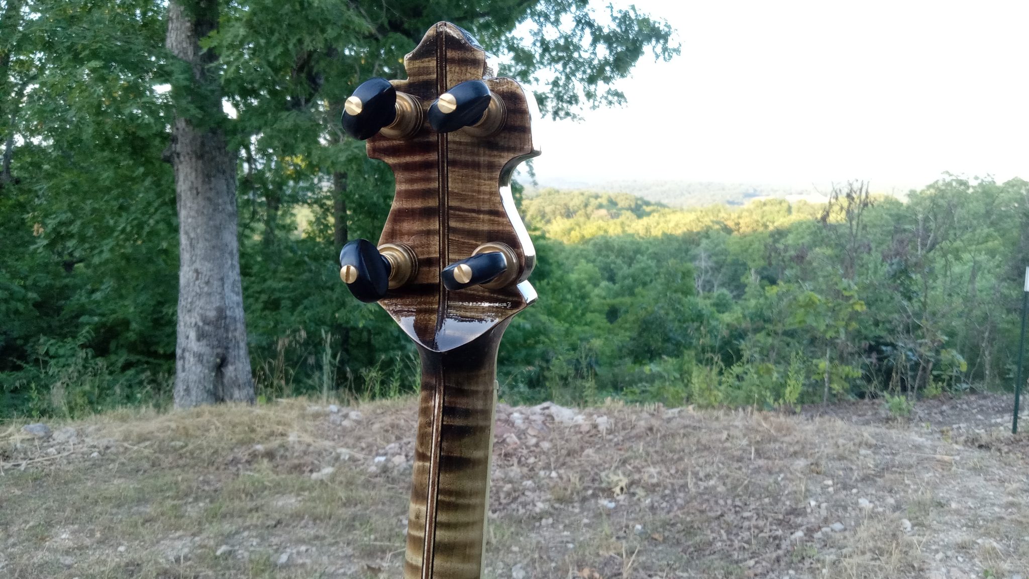 Custom Snowbird with Moon and Owl – SNOWBIRD BANJO COMPANY LLC